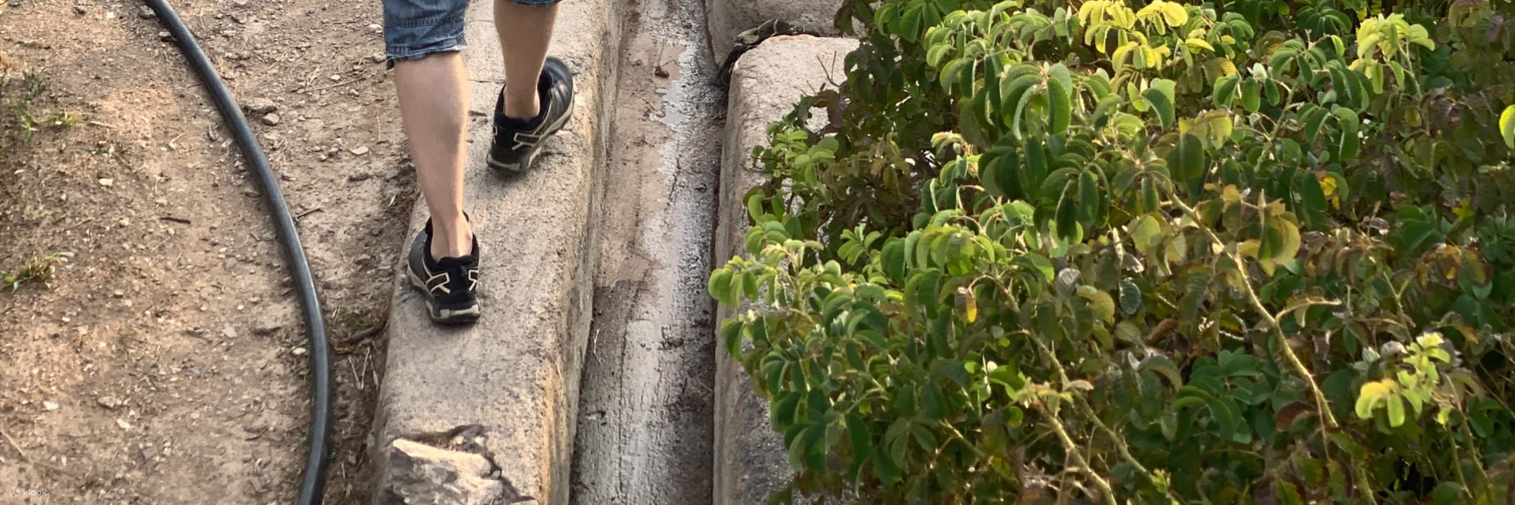 Explore Nizaw Souq, Nizwa Fort and Jabal Akhdar - Discover the Richness ...