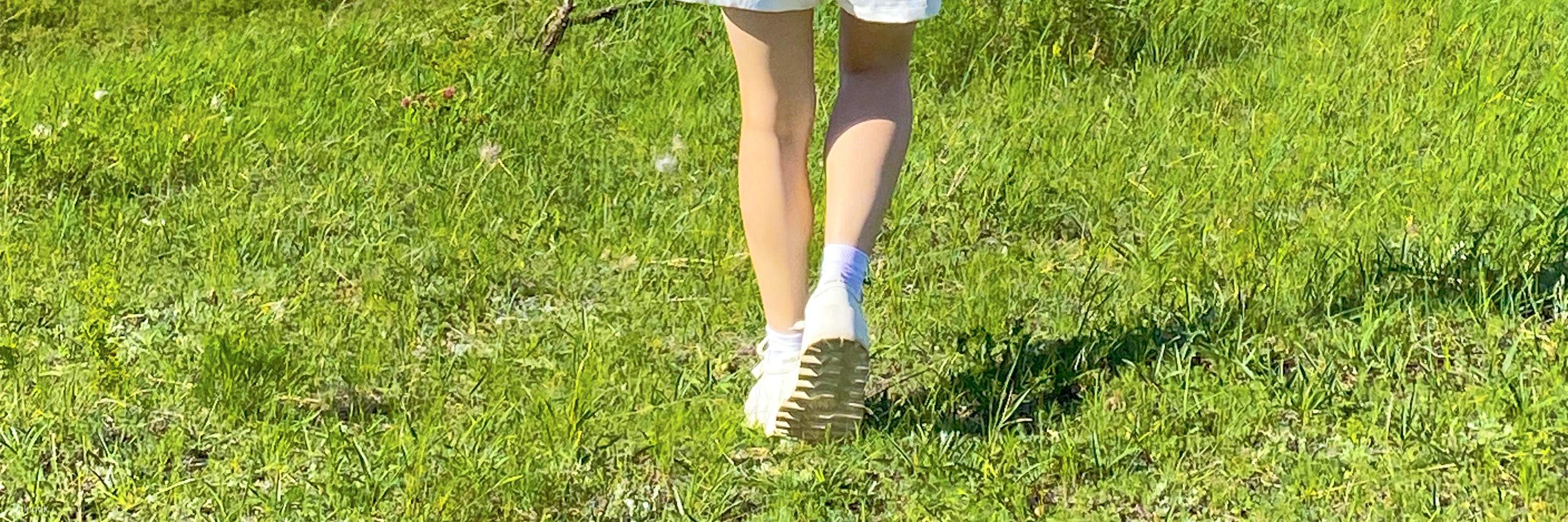 [Meet Ulanbutong Winter·Ice and Snow Carnival 5 Days] Beijing+Saihanba ...