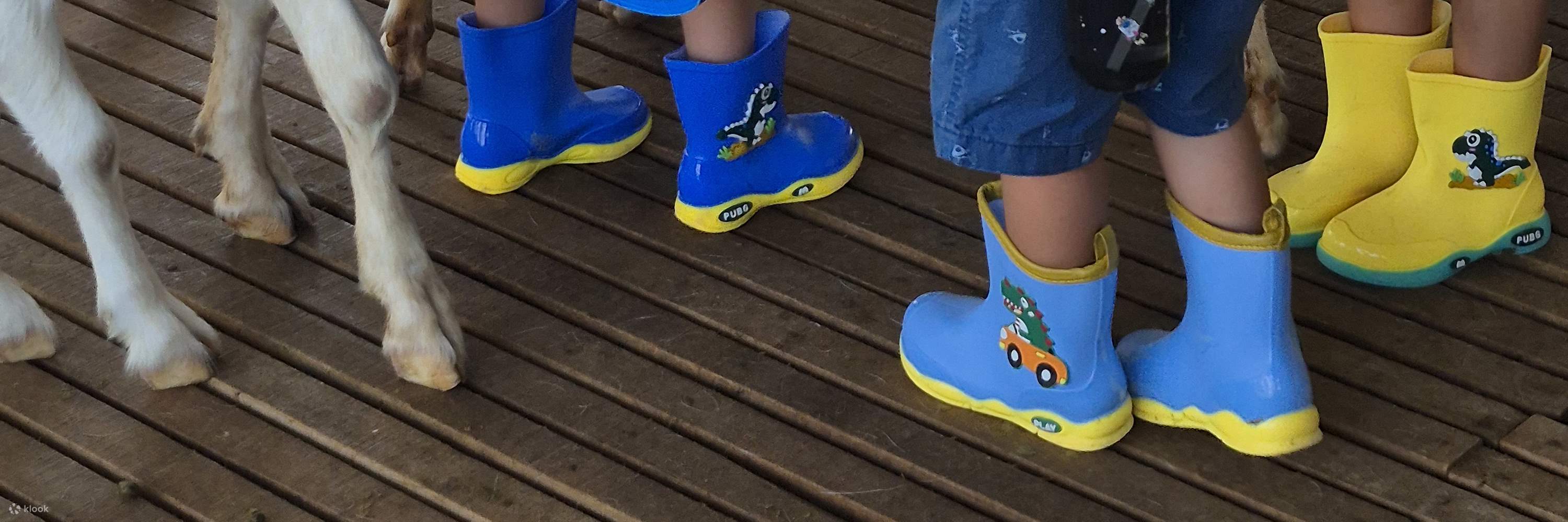 Gentle Farms Tours in Johor Bahru - Klook Singapore