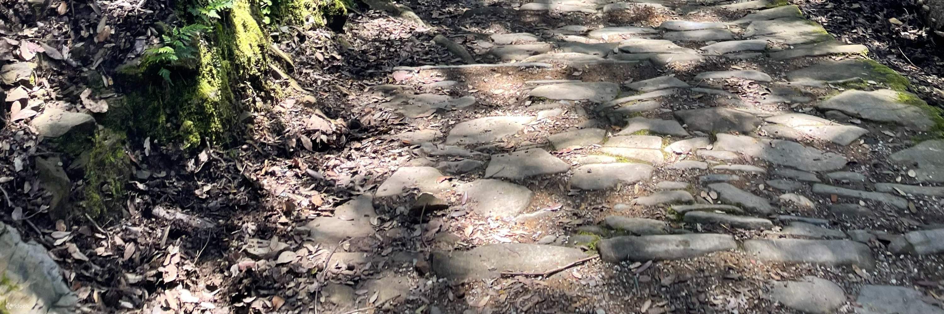 Hiking through the Geosites, terraces, and history of the 5 Terre ...