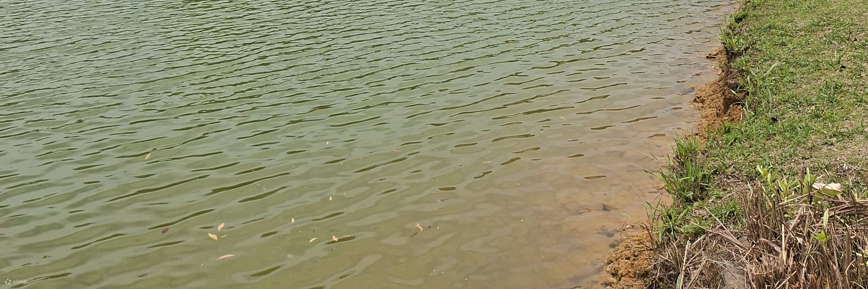 Bintan Safari Lagoi + Blue Lake - Klook Australia