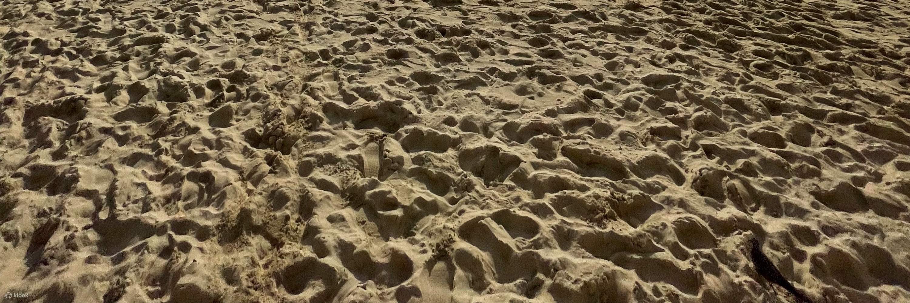 Ebike Tour in Lembongan Island - Klook