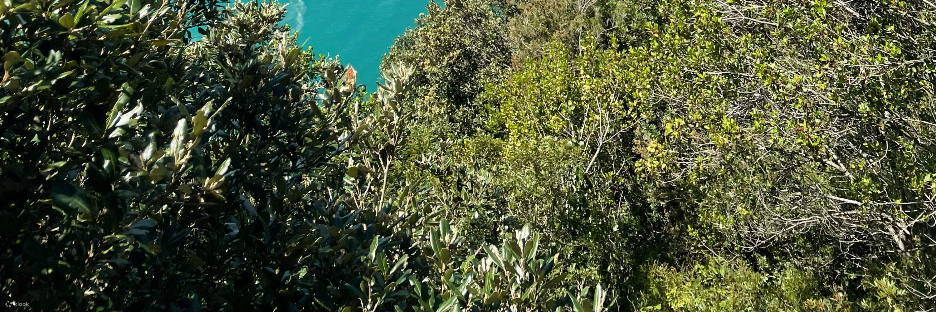Hiking through the Geosites, terraces, and history of the 5 Terre ...
