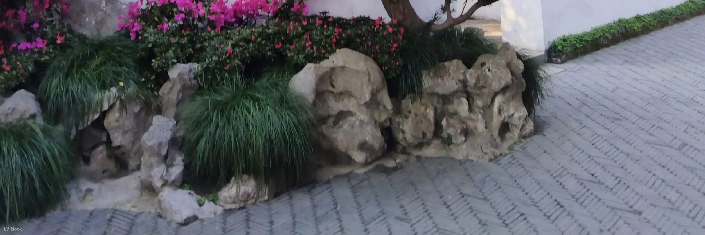 BEGINNER Shanghai One-Day Tour: Yu Garden, Old Street, Bund Ferry ...