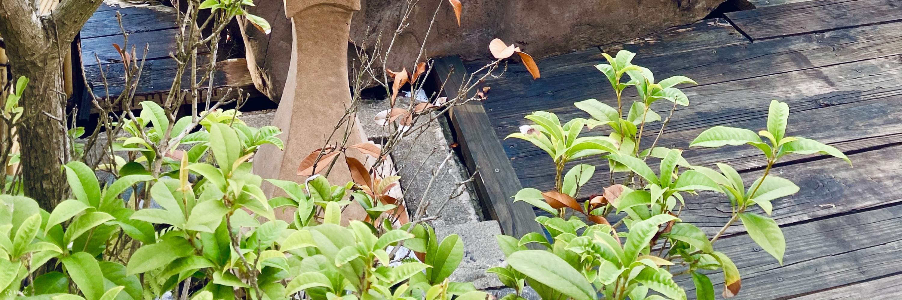 Beitou:Spa Spring Resort Hot Spring Experience in Taipei - Klook