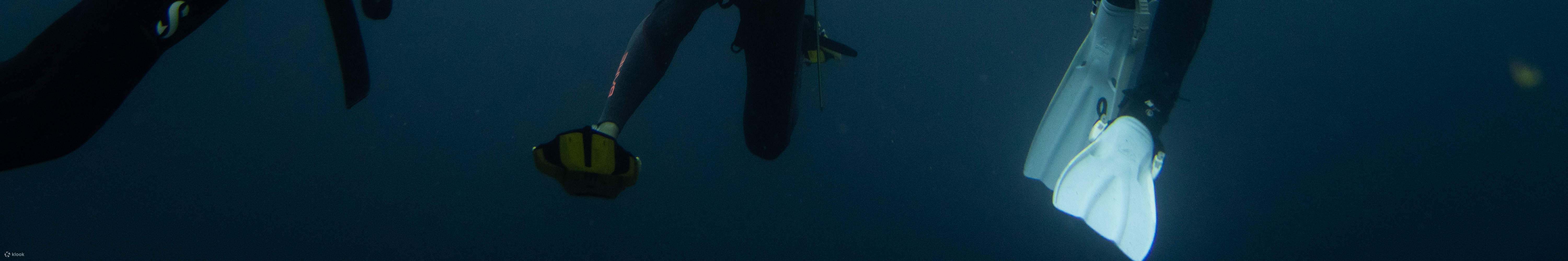PADI Advanced Open Water Diver (Padangbai dan Tulamben) di Bali dengan ...