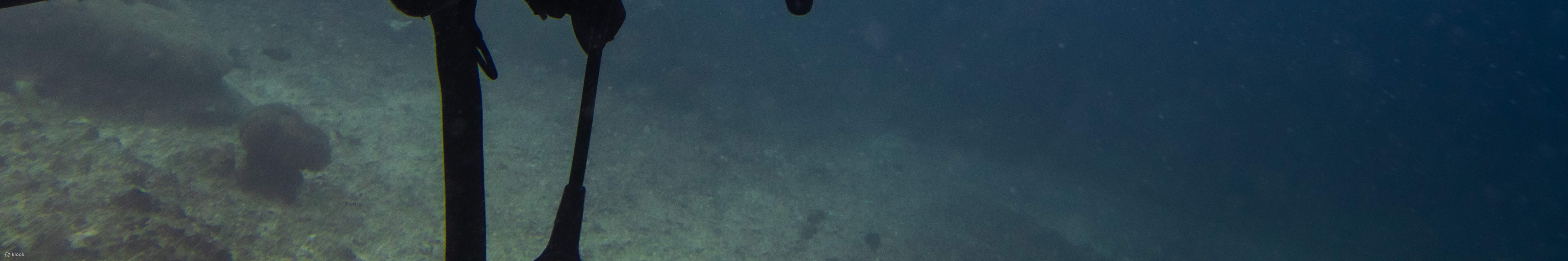 巴厘島 PADI 進階開放水域潛水員（Padangbai 和 Tulamben）與 PADI 5 星 CDC 一起 - Klook香港