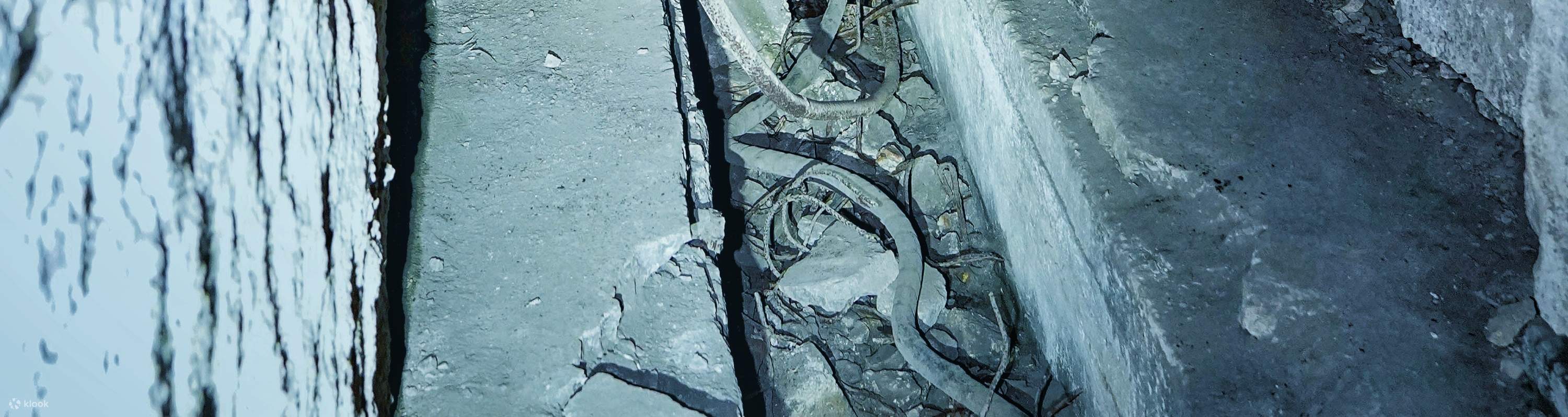 Explore Zeljava Airbase: Abandoned Underground Military Complex - Klook ...