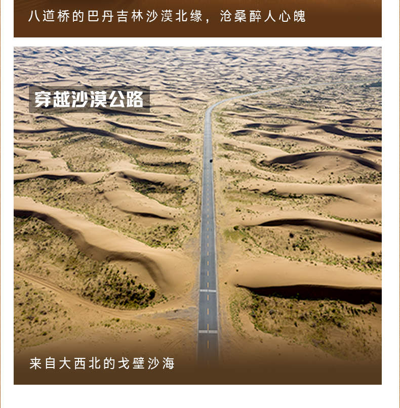 6 days in Ejina, Inner Mongolia (Ruoshui Jinsha Poplar Forest + Juyan ...