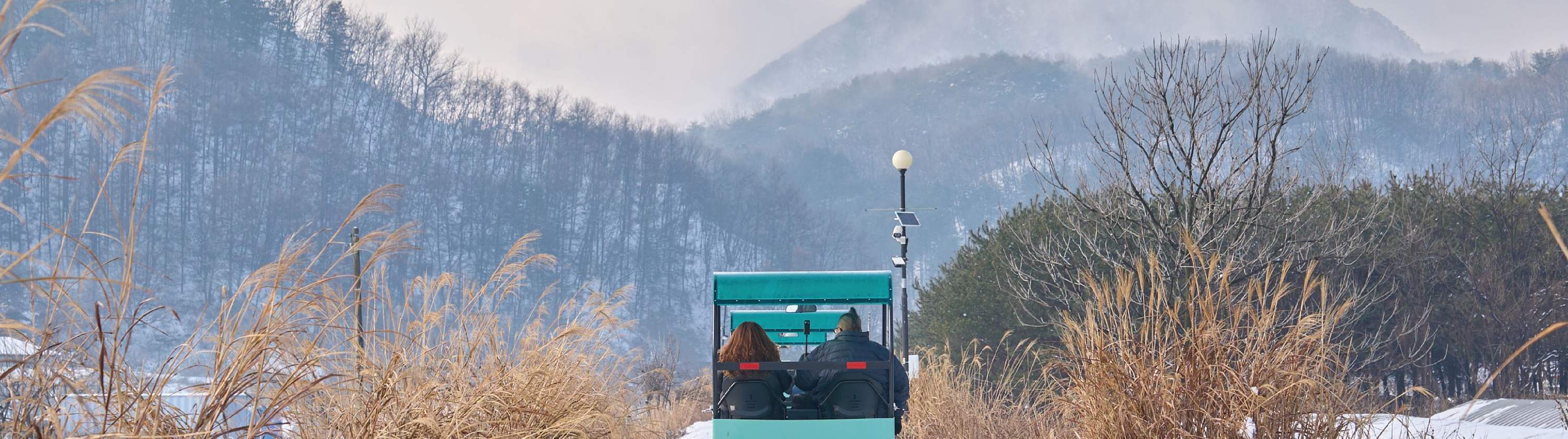 Nami Island & Eobi Ice Valley & Panorama Field & Morning Calm Tour - Klook