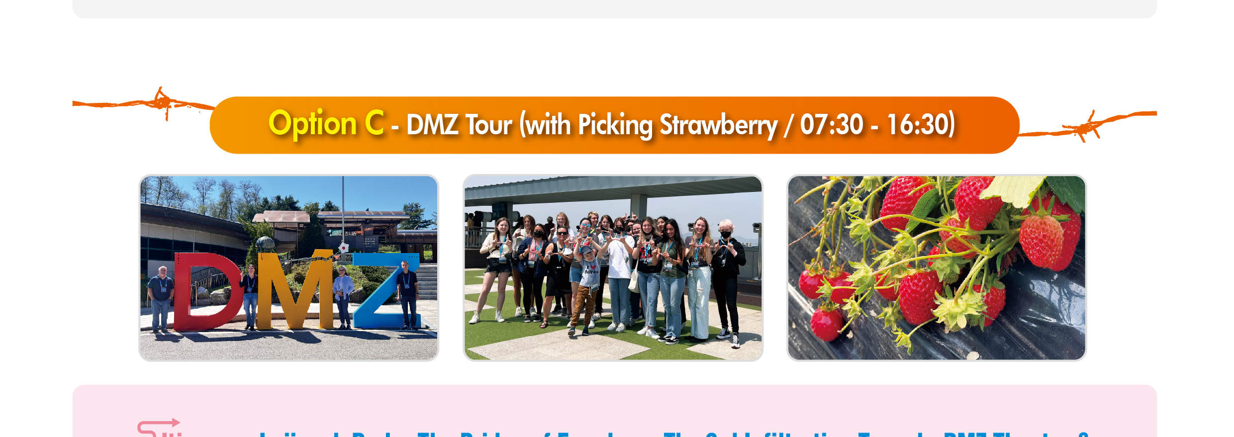 DMZ Half Day Guided Tour from Seoul - Klook