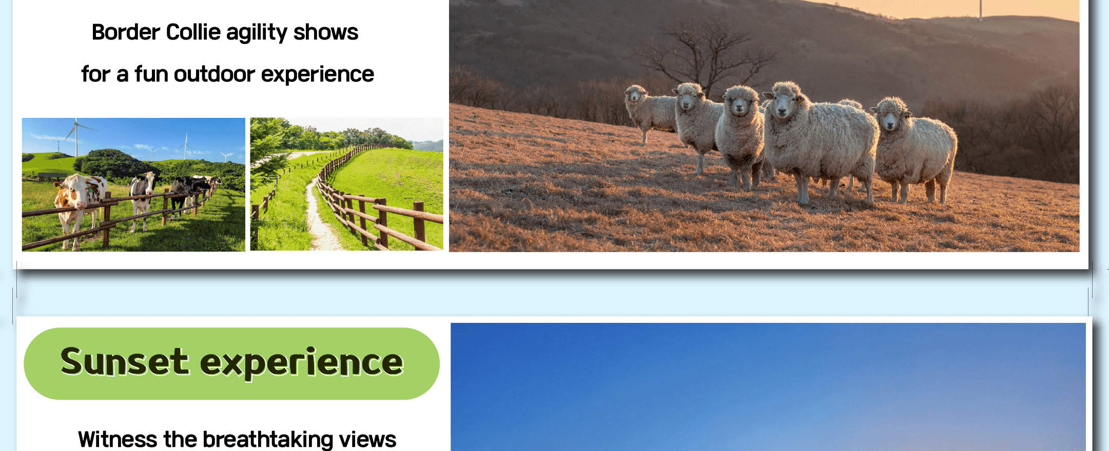 BTS / Gangneung / Beach / Sheep Ranch / Ramyeon Sunset Tour - Klook