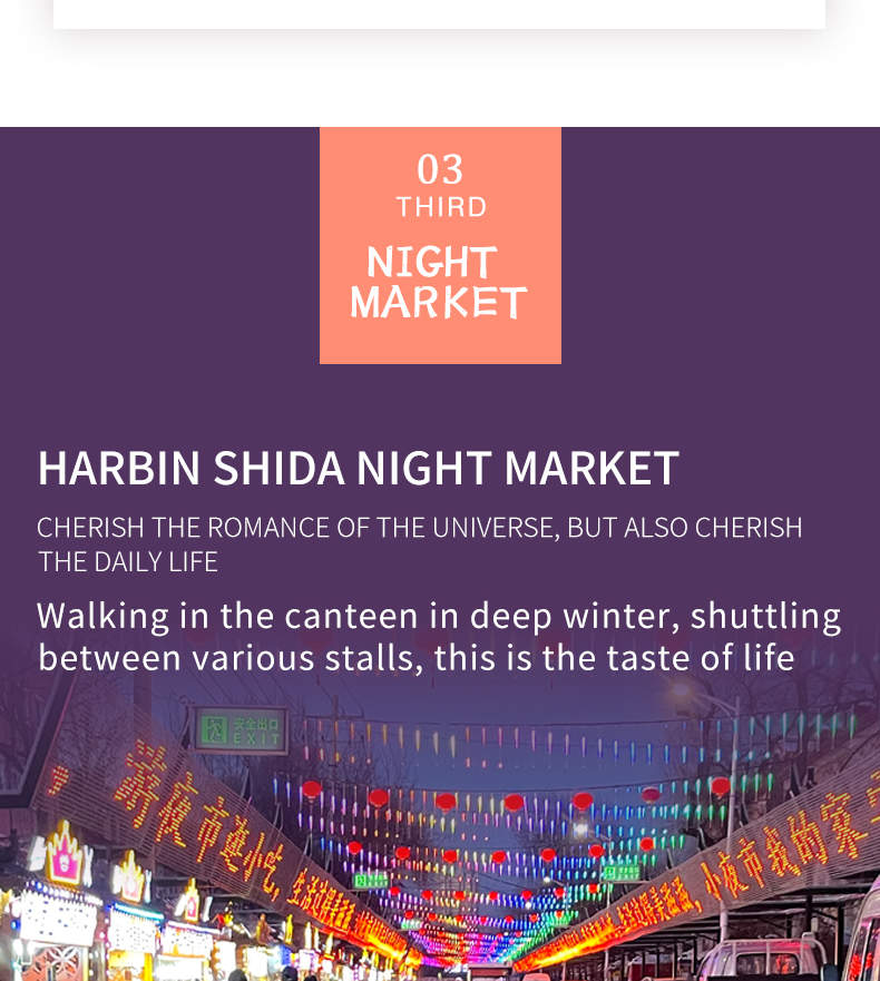 Northeast Harbin Snow Village Morning Snow World 6 Days (Ice and Snow ...