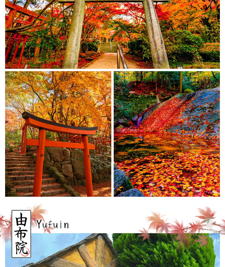 [Autumn Limited] Kyushu Beppu Fall Color Viewing Day Tour｜Kamado Shrine ...