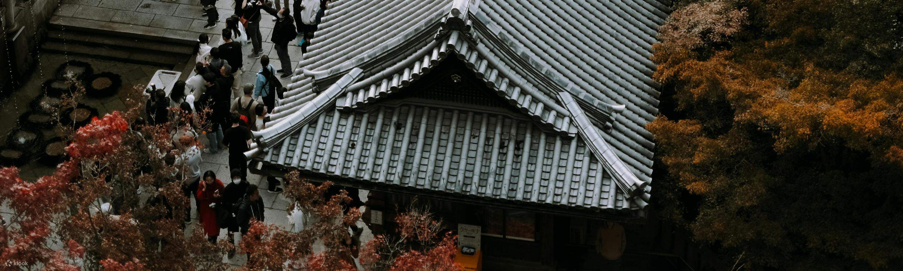 Kyoto Luxury Private Car Charter - Exploring Japanese Style - Klook ...