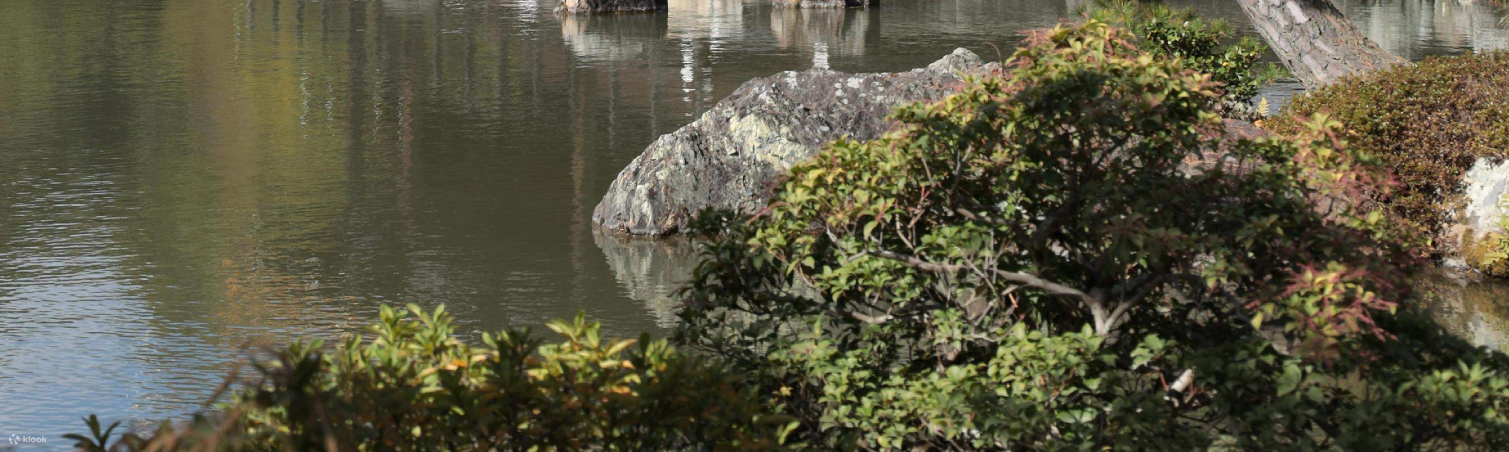 Kyoto Luxury Private Car Charter - Exploring Japanese Style - Klook India