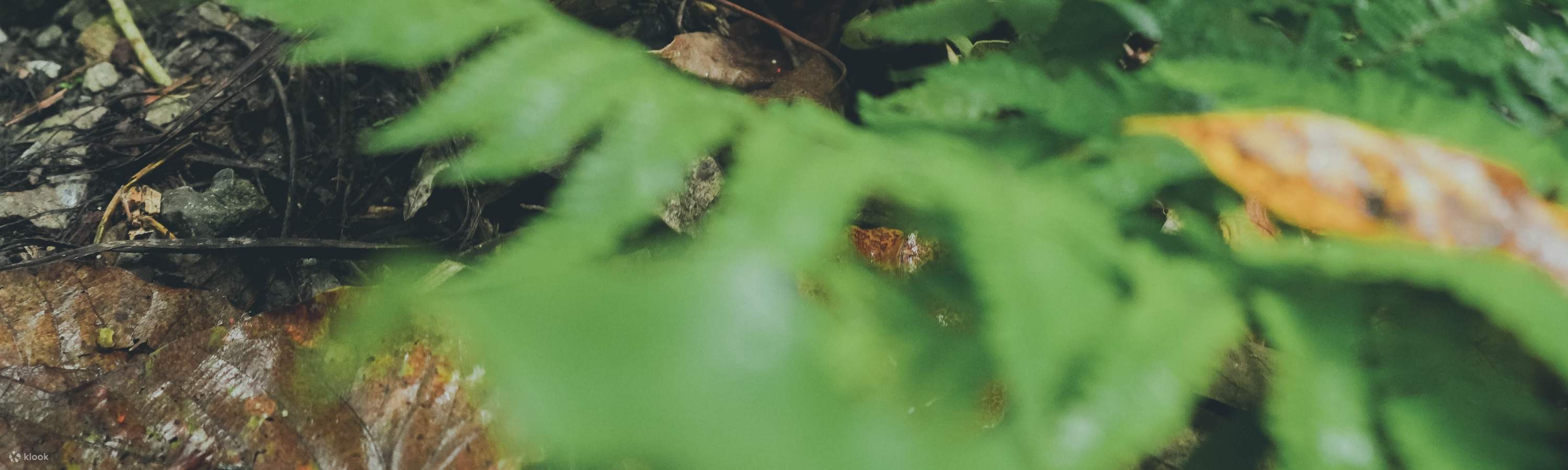 Hualien: Kawan Tribe Taroko Cultural Experience - Klook