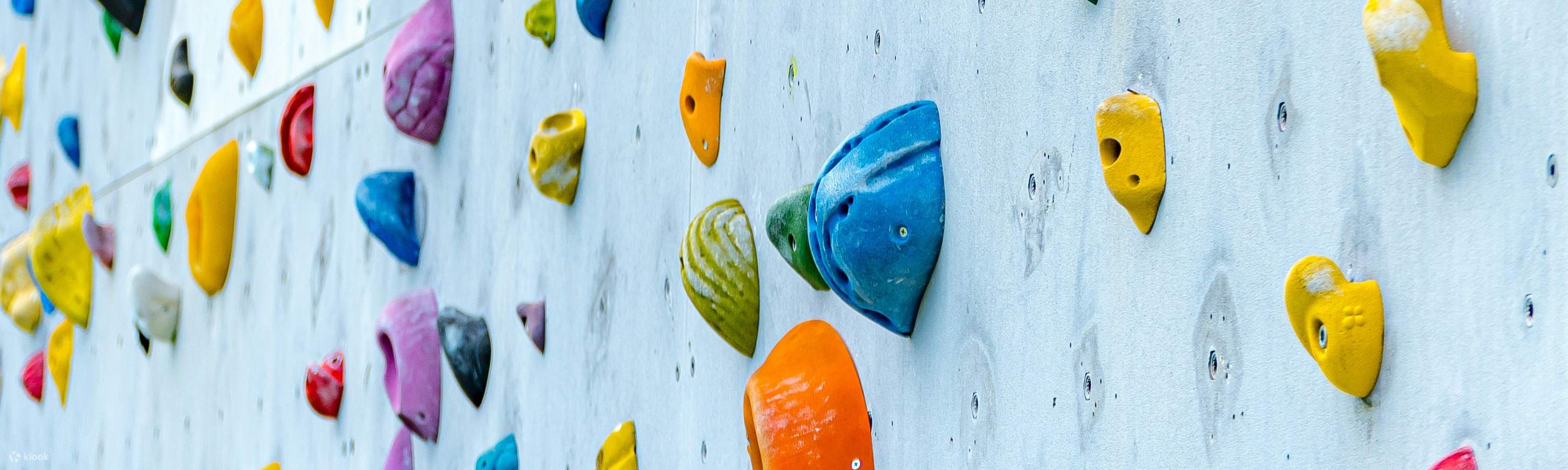 Half-Day Wall Climbing and Archery Adventure - Klook Singapore