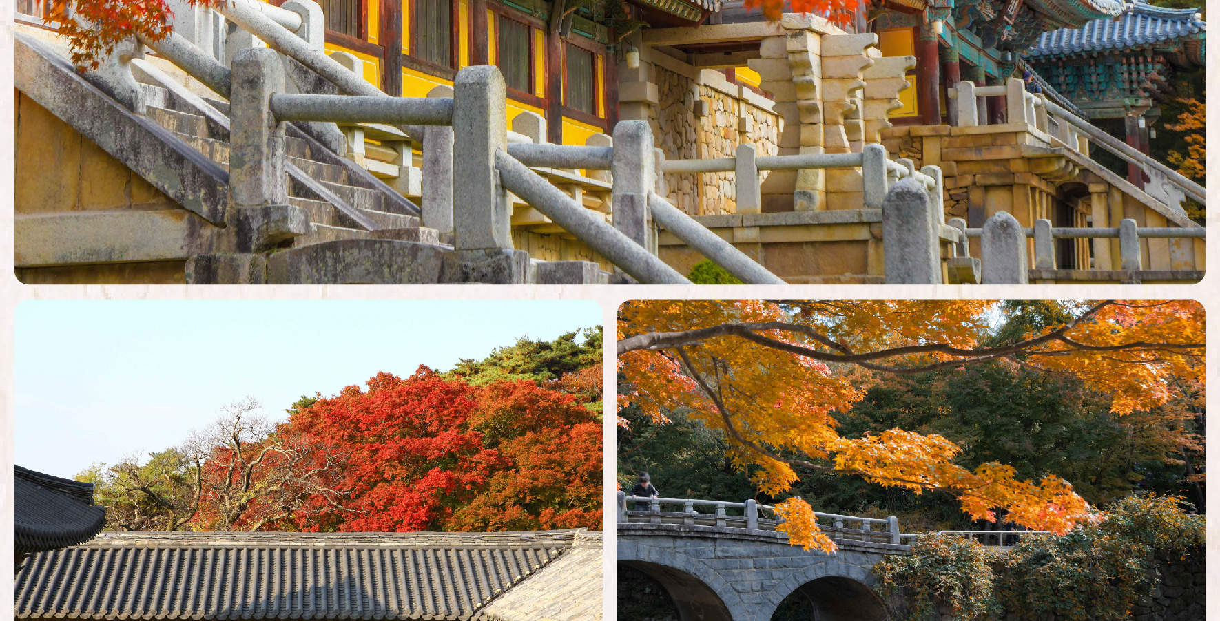Gyeongju UNESCO World Heritage Site Day Trip from Busan - Yangdong ...