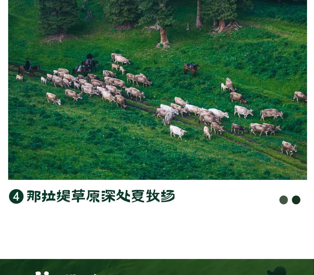 8-Day Tour of Xinjiang Secret Land Yili (Northern Section of Duku Highway + Narat Sky Grassland ...