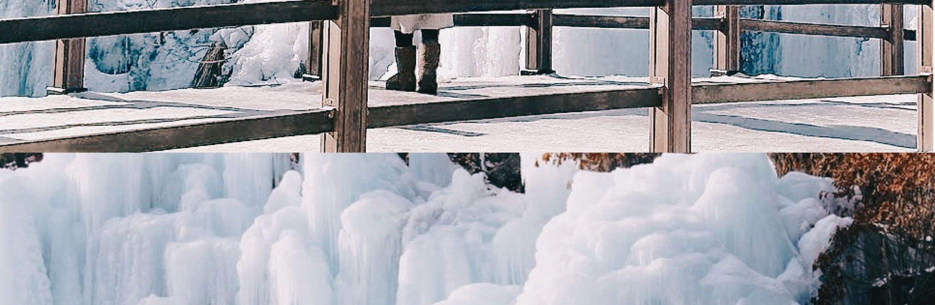 Nami Island & Eobi Ice Valley & Panorama Field & Morning Calm Tour - Klook