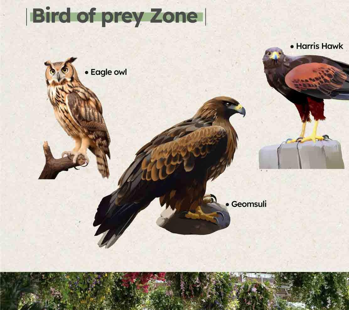 Gyeonggi Begonia Bird Park Ticket - Klook United States