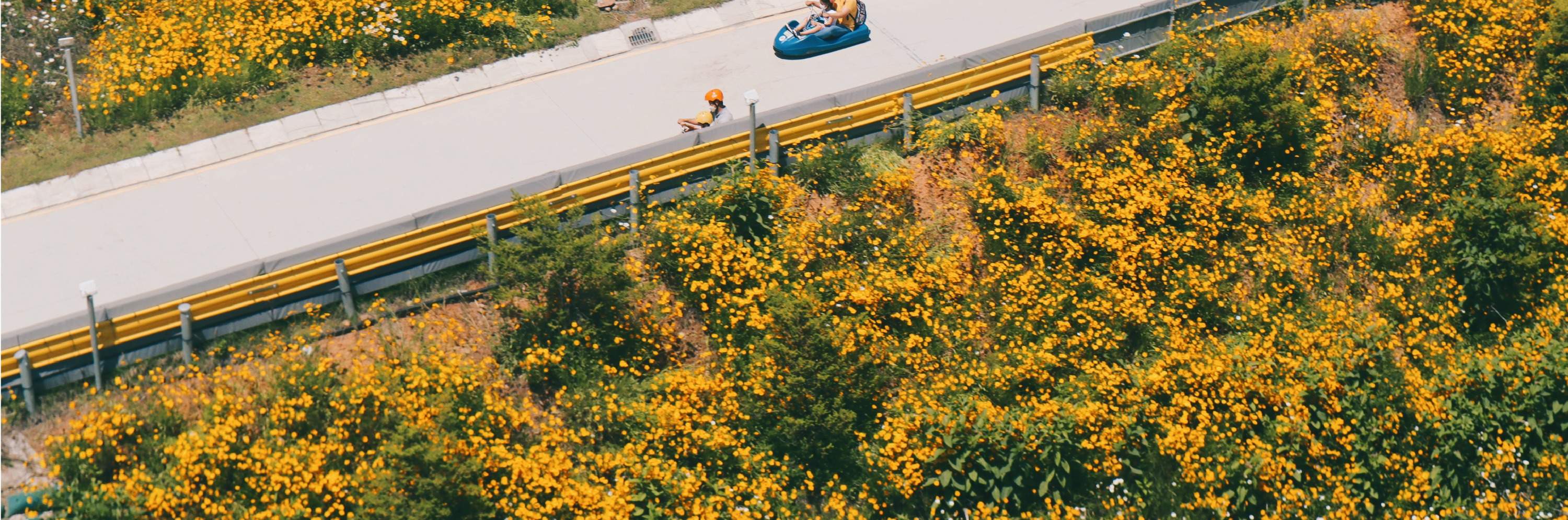 Sunset in Hot Springs & Bomun Temple & Dream Park from Seoul - Klook ...