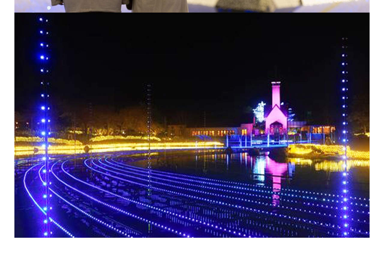 Nagoya Nabana no Sato Illumination & Mitsui Outlet Jazz Dream Nagashima ...
