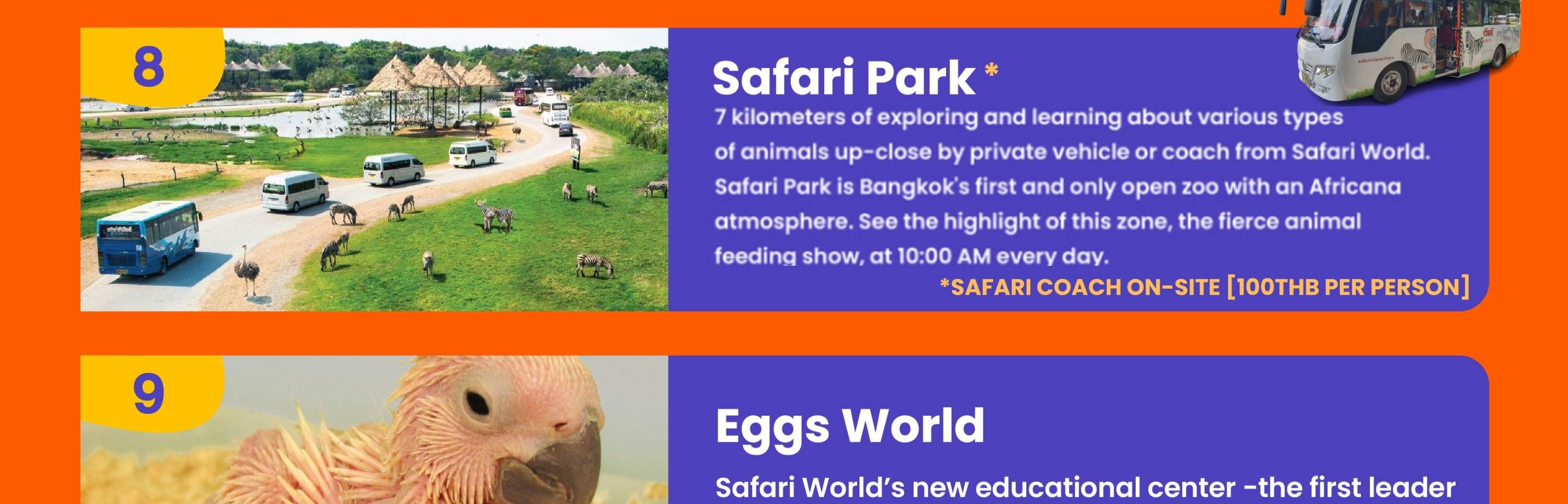 Buy Bangkok Safari World Tickets Online and Meet Exotic Animals - Klook