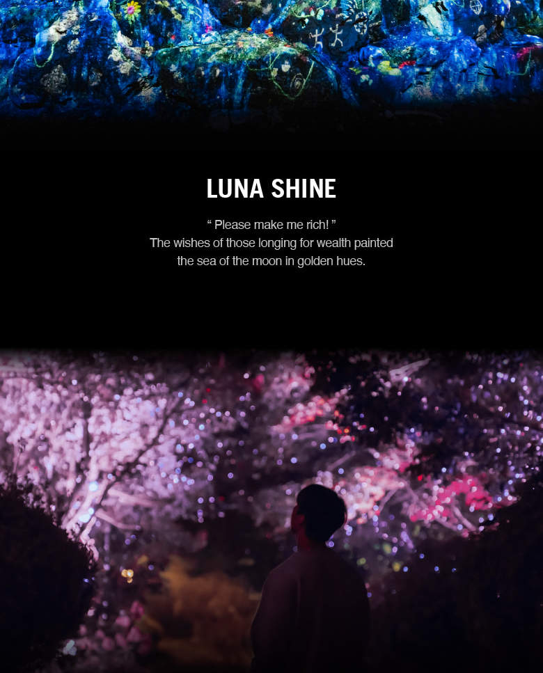 Lunafall Digital Theme Park Ticket in Jeju - Klook United States