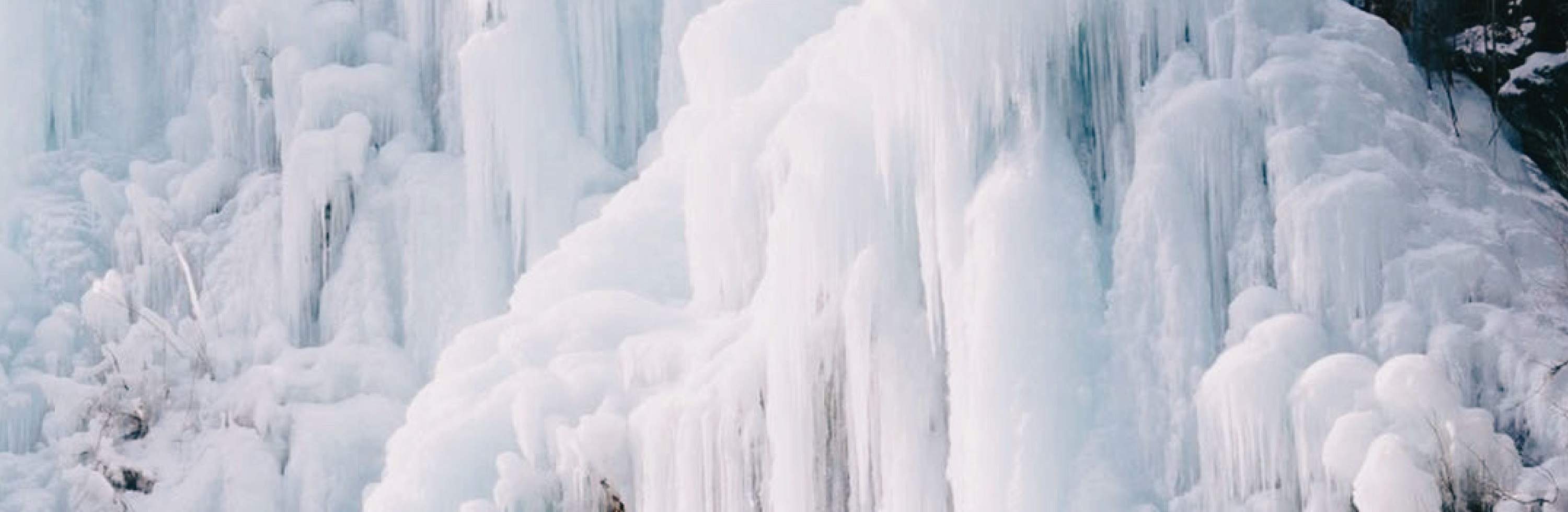 Nami Island & Eobi Ice Valley & Panorama Field & Morning Calm Tour - Klook