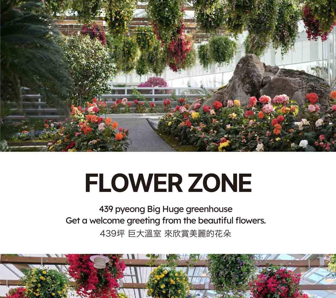 Gyeonggi Begonia Bird Park Ticket - Klook United States