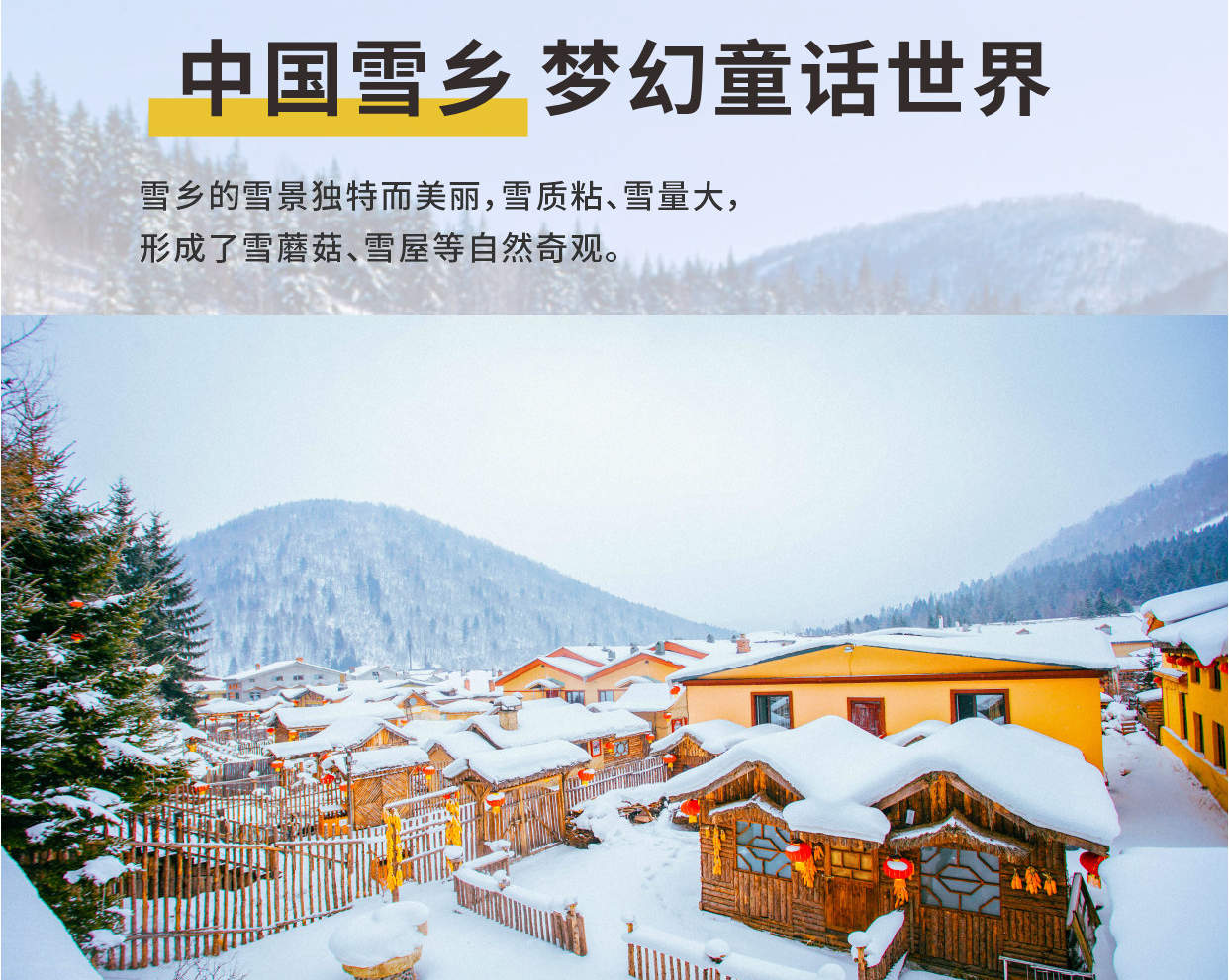 7-day tour of Harbin Snow Country in Northeast China - Klook India