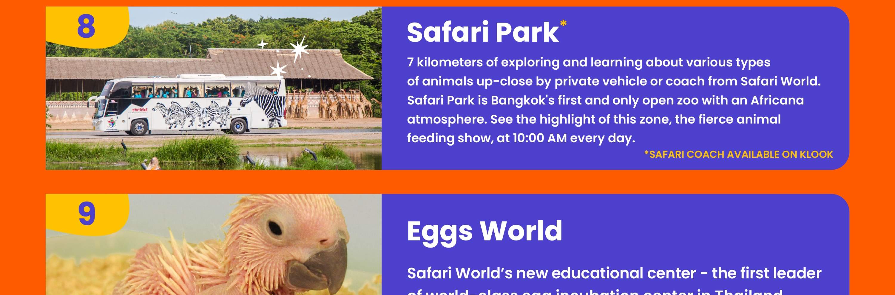 Bangkok Safari World Ticket - Klook