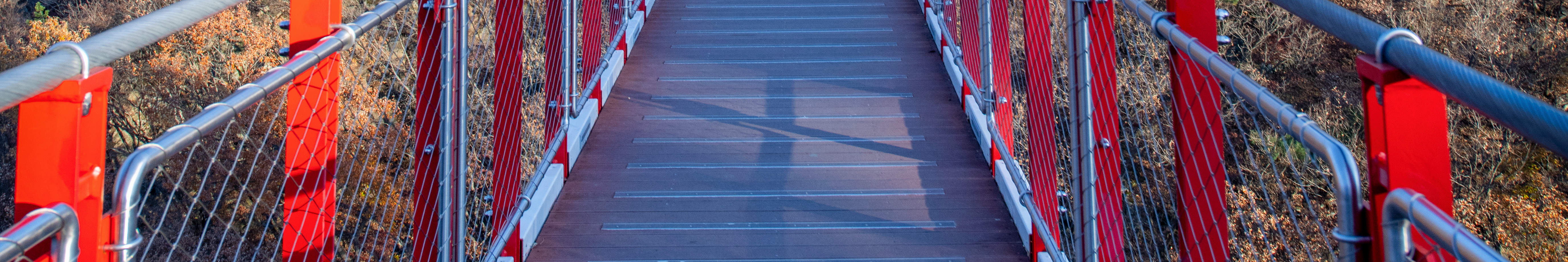 Visite guidée d'une demi-journée de la DMZ au départ de Séoul - Klook États-Unis