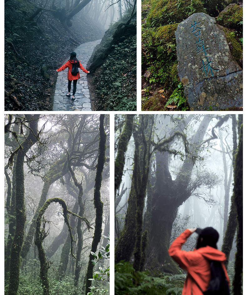 6-day tour of the secret land of southeast Yunnan (Ailao Mountain sea ...