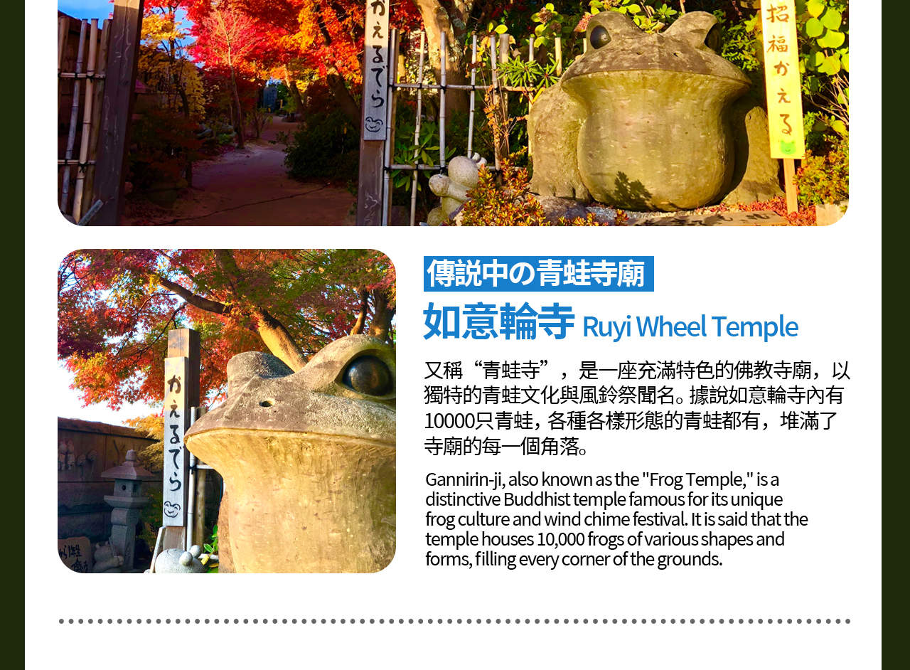 Kitakyushu & Fukuoka Wisteria One Day Tour: Kawachi Wisteria Garden ...
