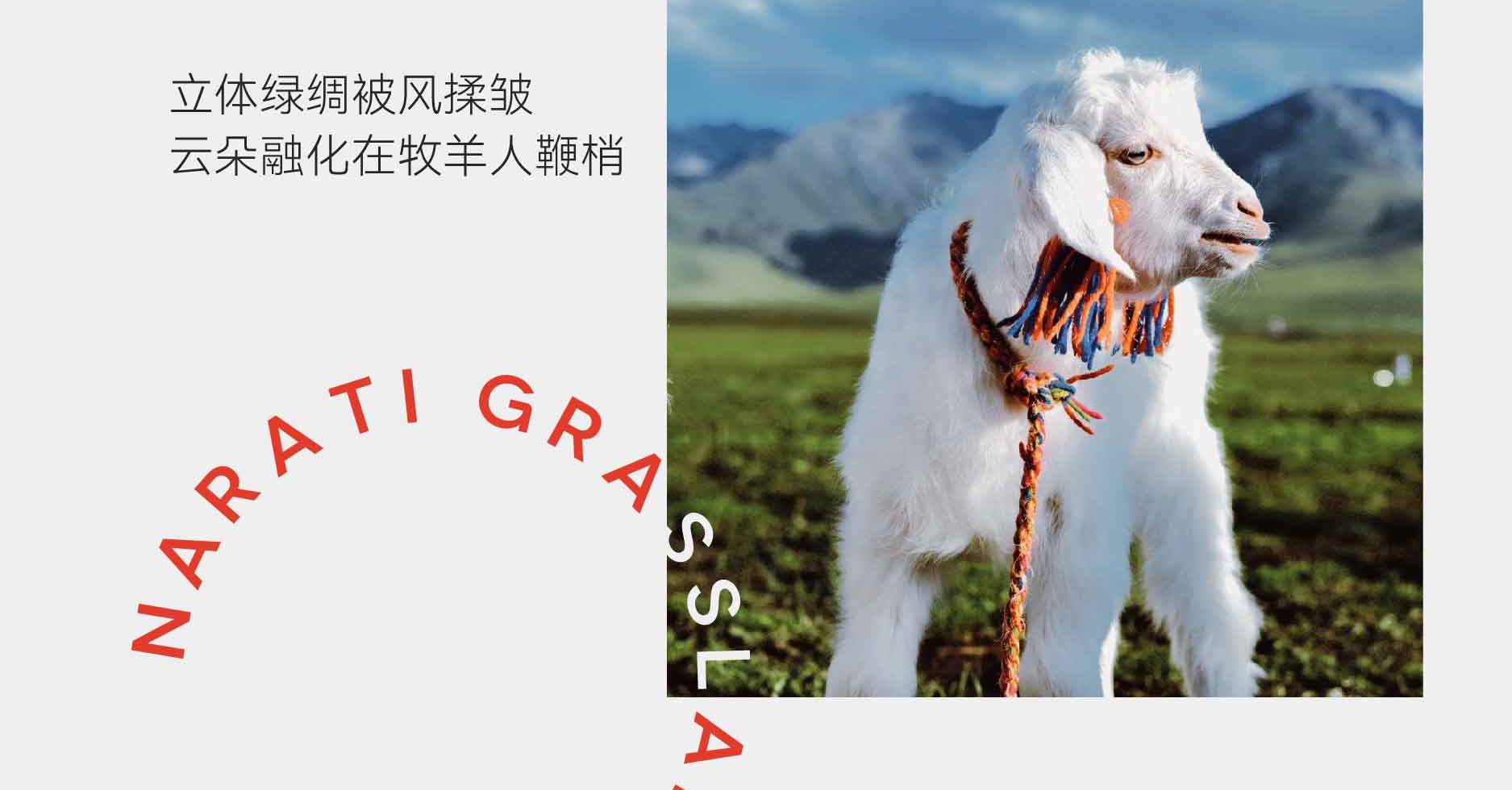 10-Day Xinjiang Northern Region Adventure: Kanas & Yili Highlights ...