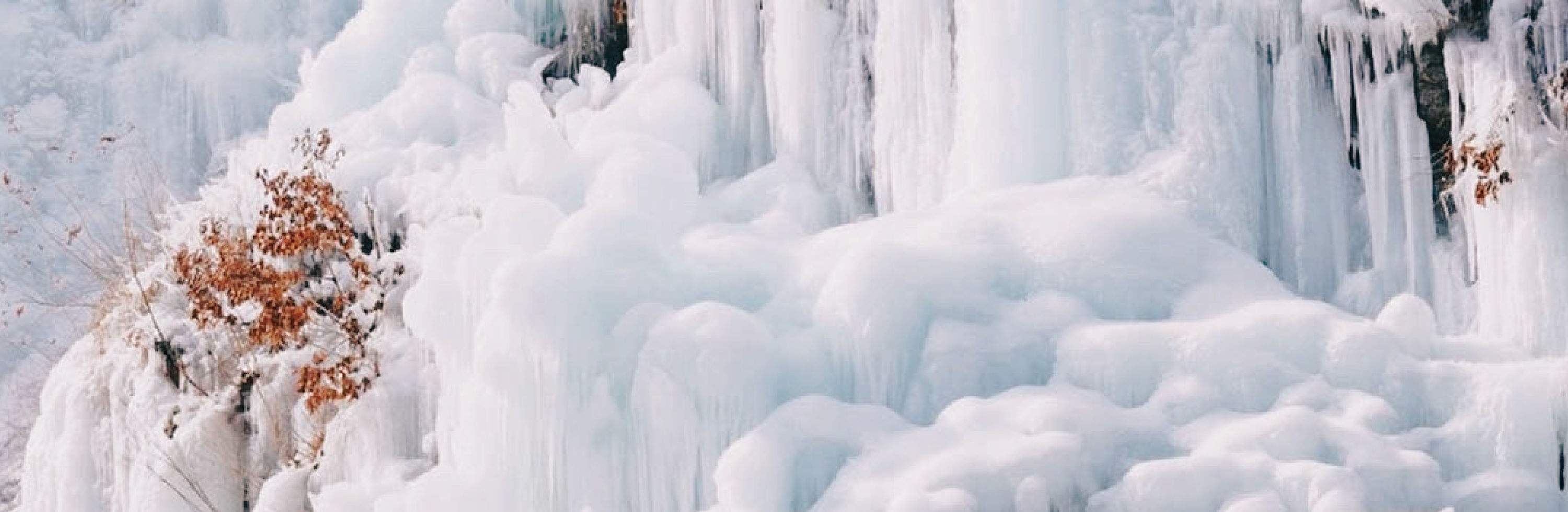 Nami Island & Eobi Ice Valley & Panorama Field & Morning Calm Tour ...