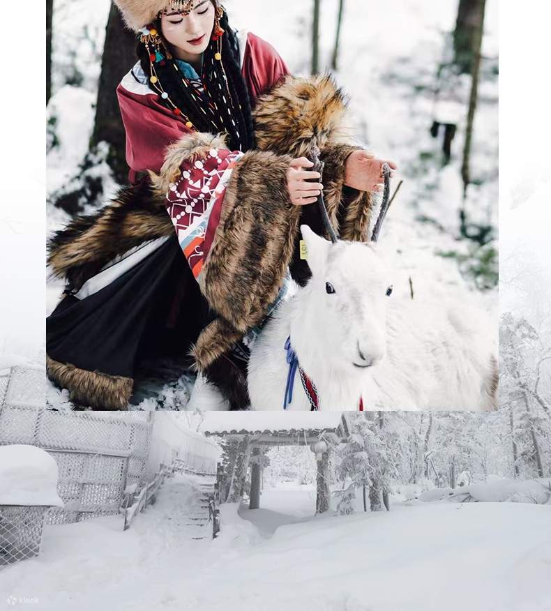 Harbin Muyue Ice City Top Luxury Private 6-Day Tour - Klook Singapore