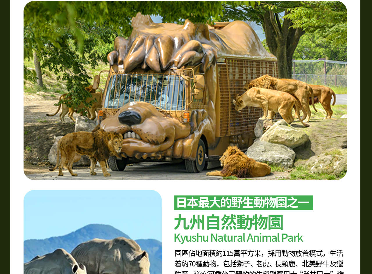 Kitakyushu & Fukuoka Wisteria One Day Tour: Kawachi Wisteria Garden ...