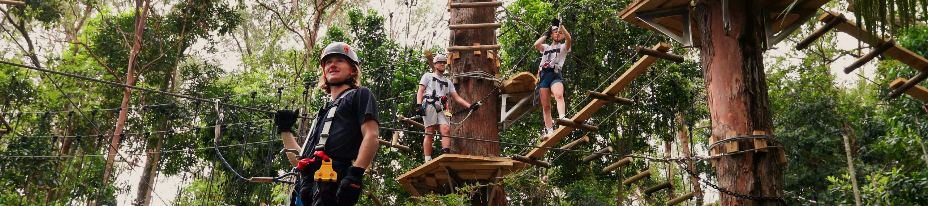 TreeTop Challenge at Currumbin Wildlife Sanctuary - Klook