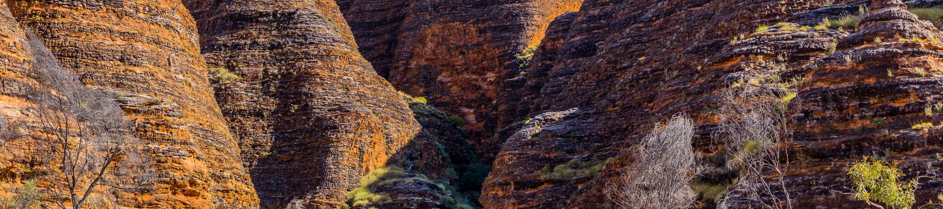 Bungle Bungle Explorer Tour from Broome - Klook