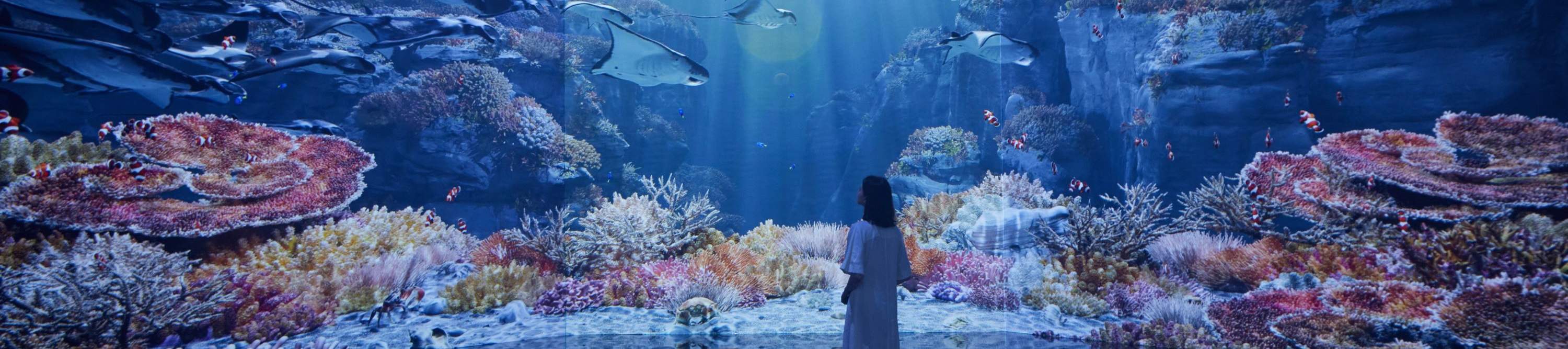 Paju & Ilsan Day Tour: Traditional Korean Cooking & Aqua Garden Cafe ...