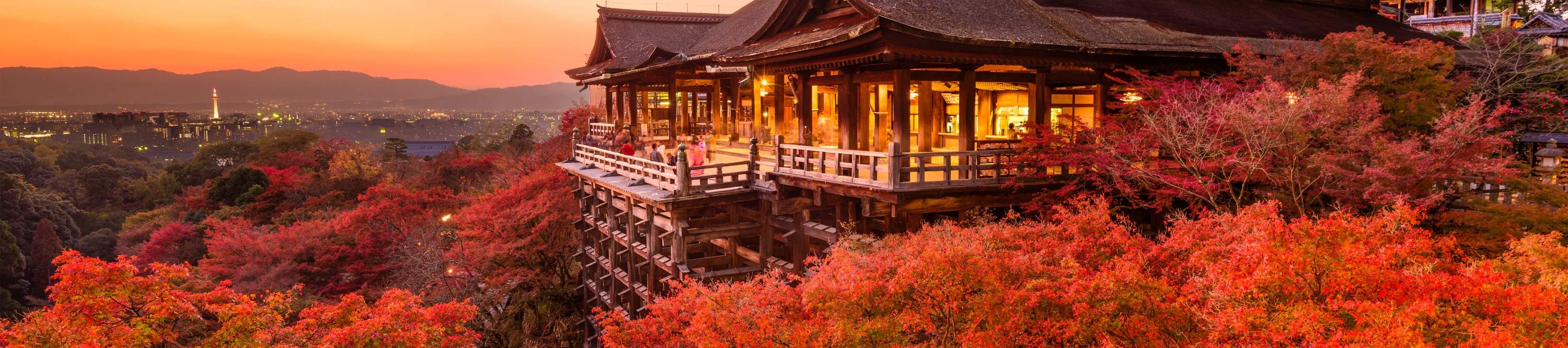 Templo Kinkakuji y Templo Kiyomizu y Fushimi Inari Taisha Kyoto Tour de ...