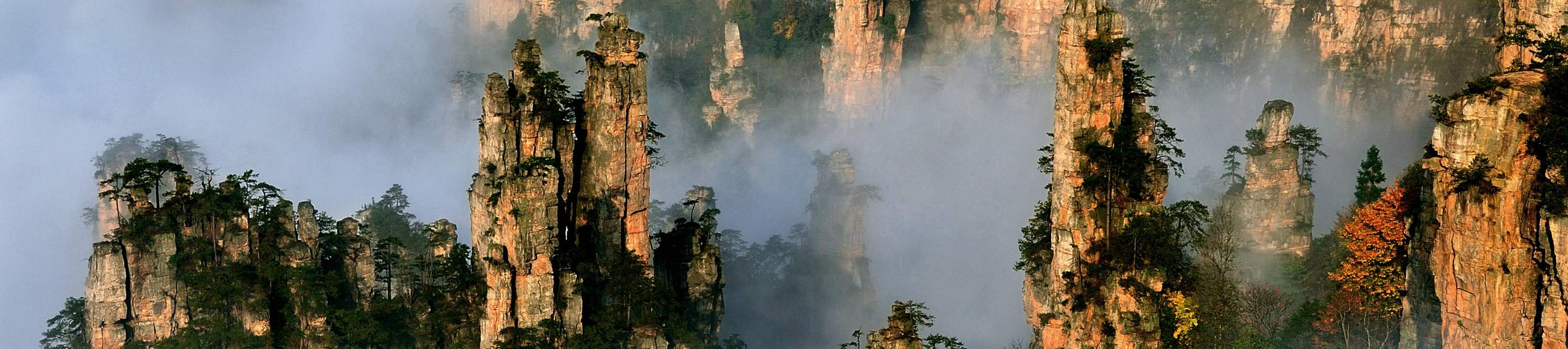 Zhangjiajie National Forest Park One-Day Group Tour (VIP access ...