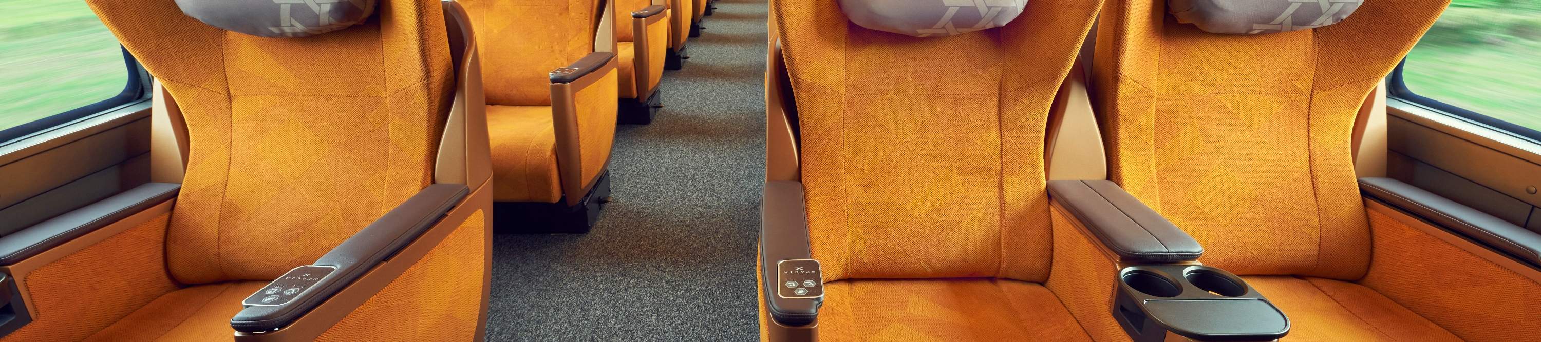 Nikko Private Trip with Limited Express SPACIA Ticket from Tokyo - Klook Hong Kong