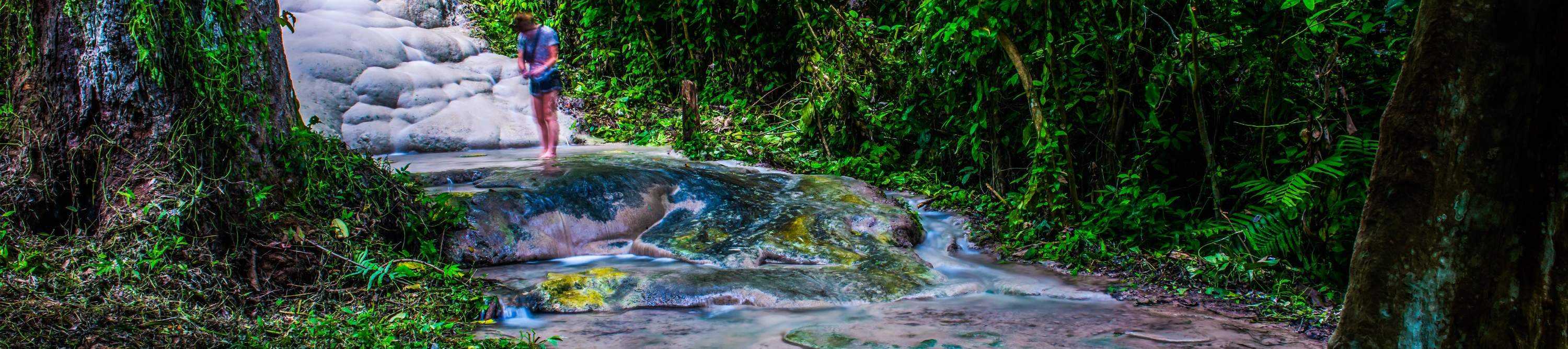 Chiang Mai Elephant Sanctuary and Sticky Waterfall Tour – Full Day ...