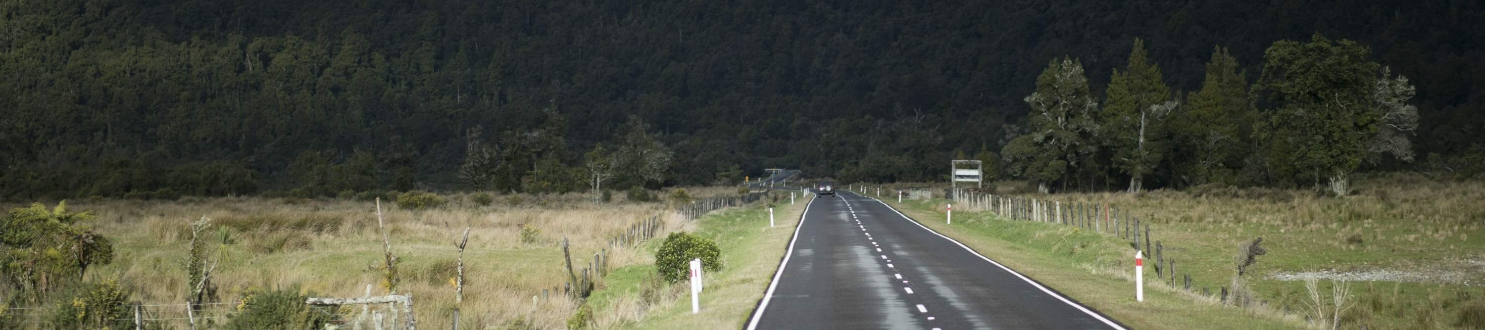 West Coast Sightseeing Day Tour between Queenstown and Franz Josef - Klook