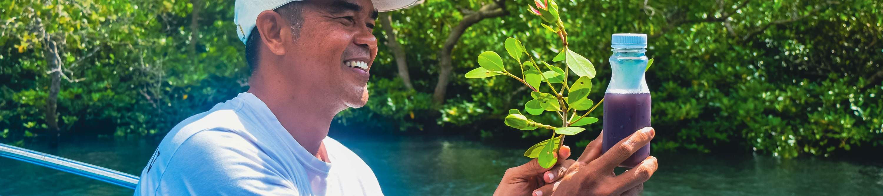 タートルアイランド・グラスボート・マングローブクルーズ体験（JTBインドネシア提供） | Klook